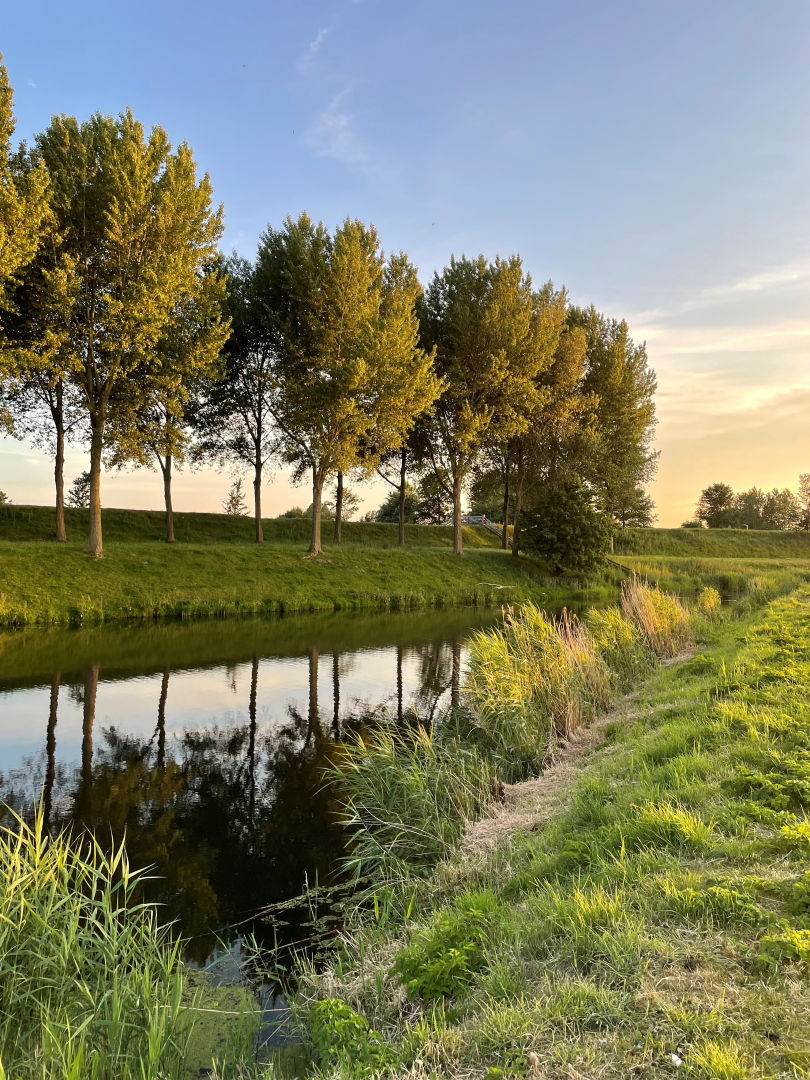 Uitzicht op UNESCO wereld erfgoed - De Arendshoeve - The Garden of ...